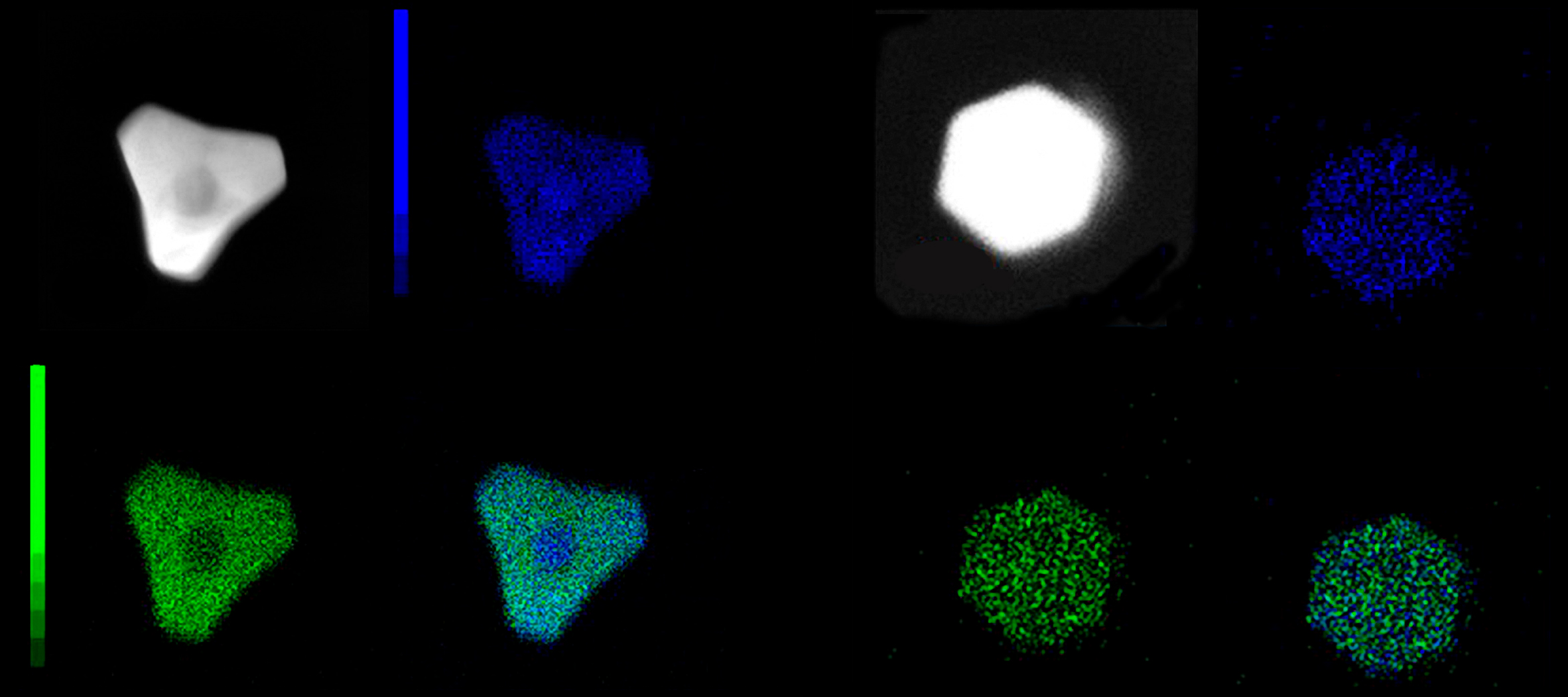 Nanowire composition for optoelectronics - Microscopy Australia