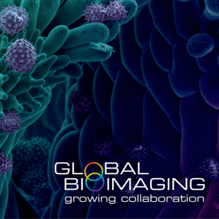 Global BioImaging partnership - Microscopy Australia