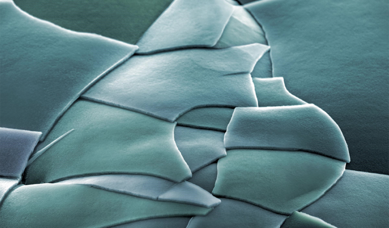 Micro-tectonics enable stretchy electronics - Microscopy Australia