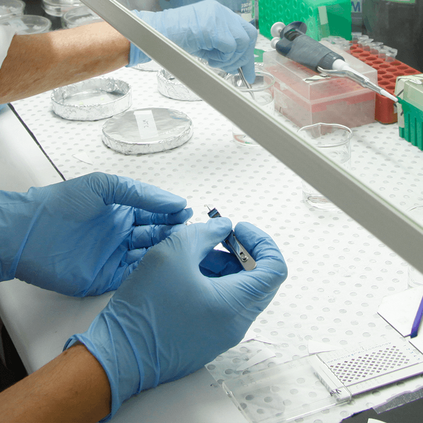 Microscopy Australia