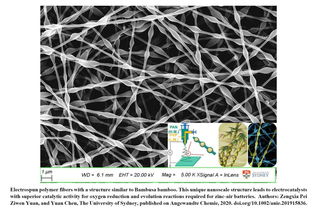 Winners of Microscopy Australia micrograph competition at ICONN2020 ...