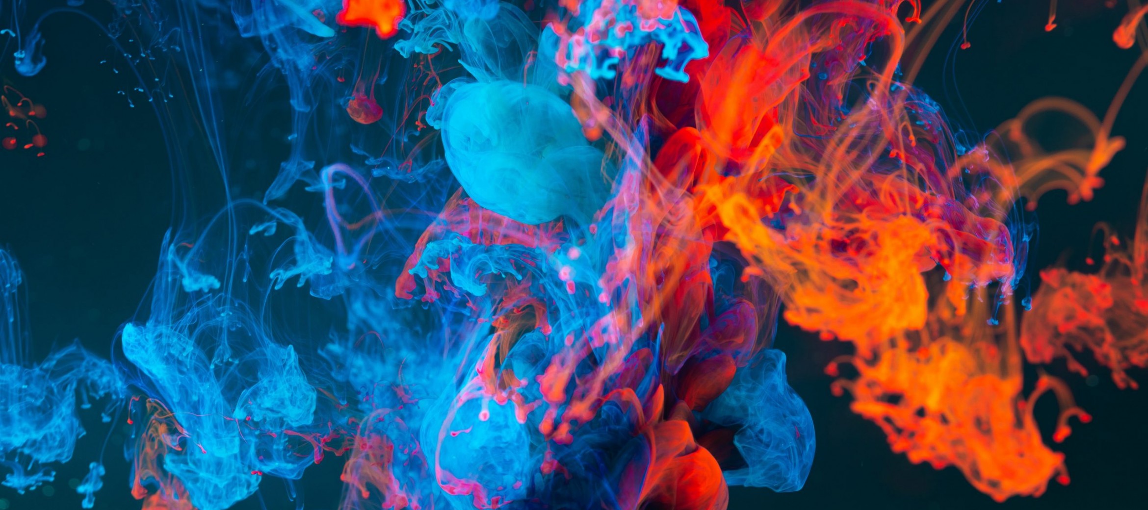 Expansion Microscopy Special Webinar by the Microbial Imaging Facility - Microscopy Australia