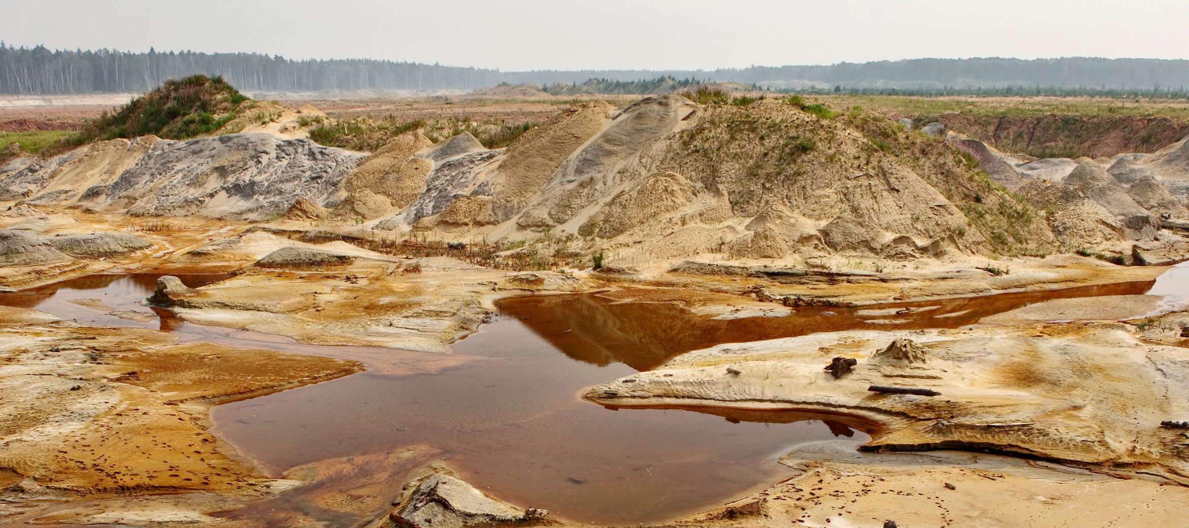 Using waste to clean the planet - Microscopy Australia