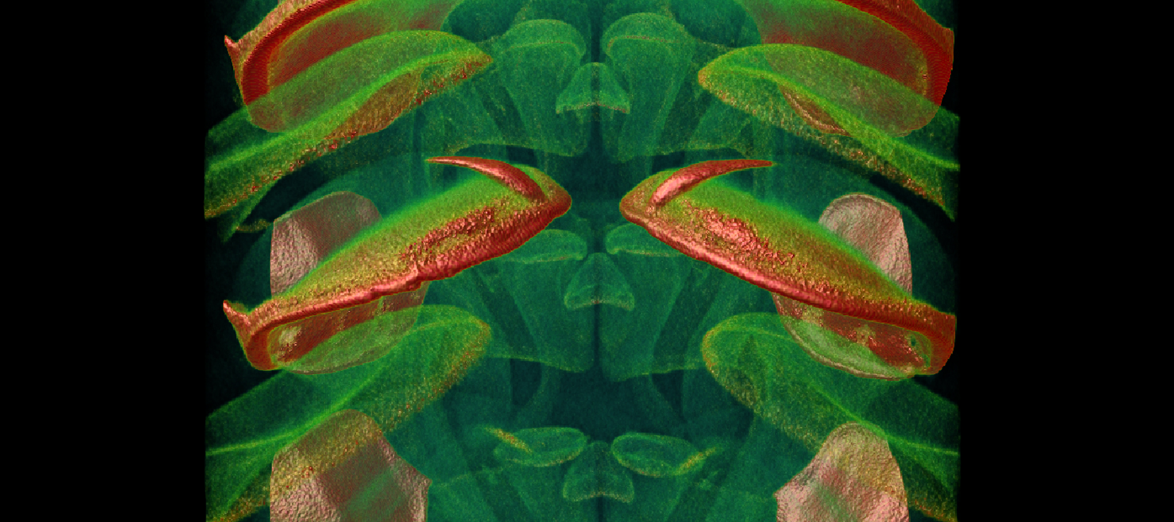 Multimodal microscopy: breakthroughs by combining advanced techniques ... Multimodal microscopy: breakthroughs by combining advanced techniques ...