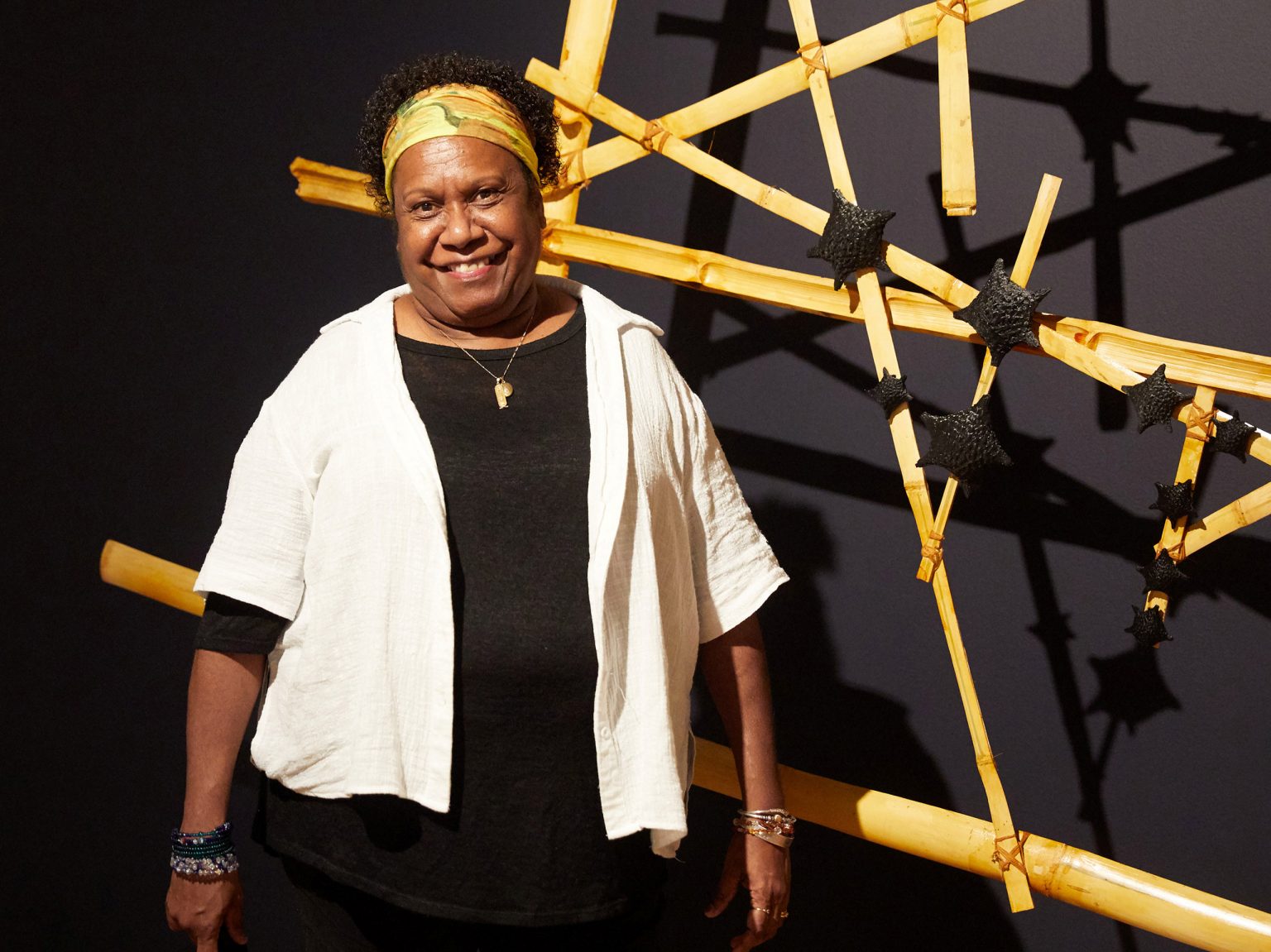 Scanning the stars - Microscopy Australia