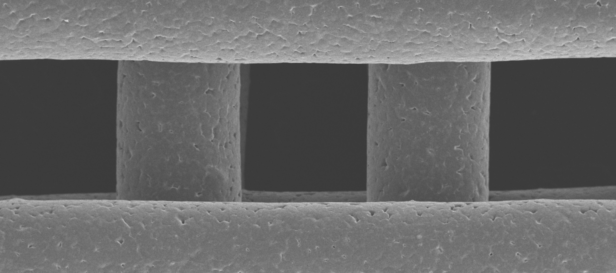 Enhancing bone scaffolds with magnesium hydroxide - Microscopy Australia