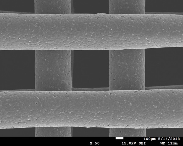 Enhancing bone scaffolds with magnesium hydroxide - Microscopy Australia