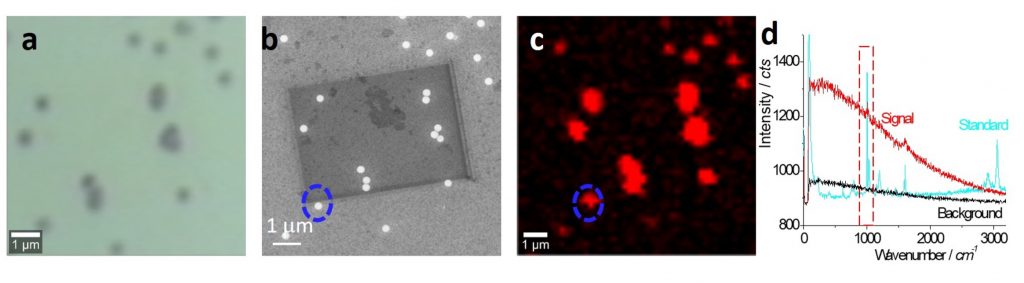 New techniques to understand nanoplastics - Microscopy Australia
