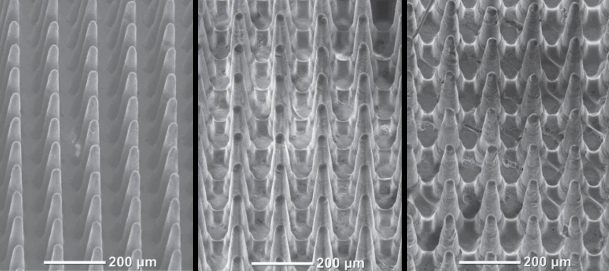 Vaccine patch delivers protection from dengue in mice - Microscopy ...