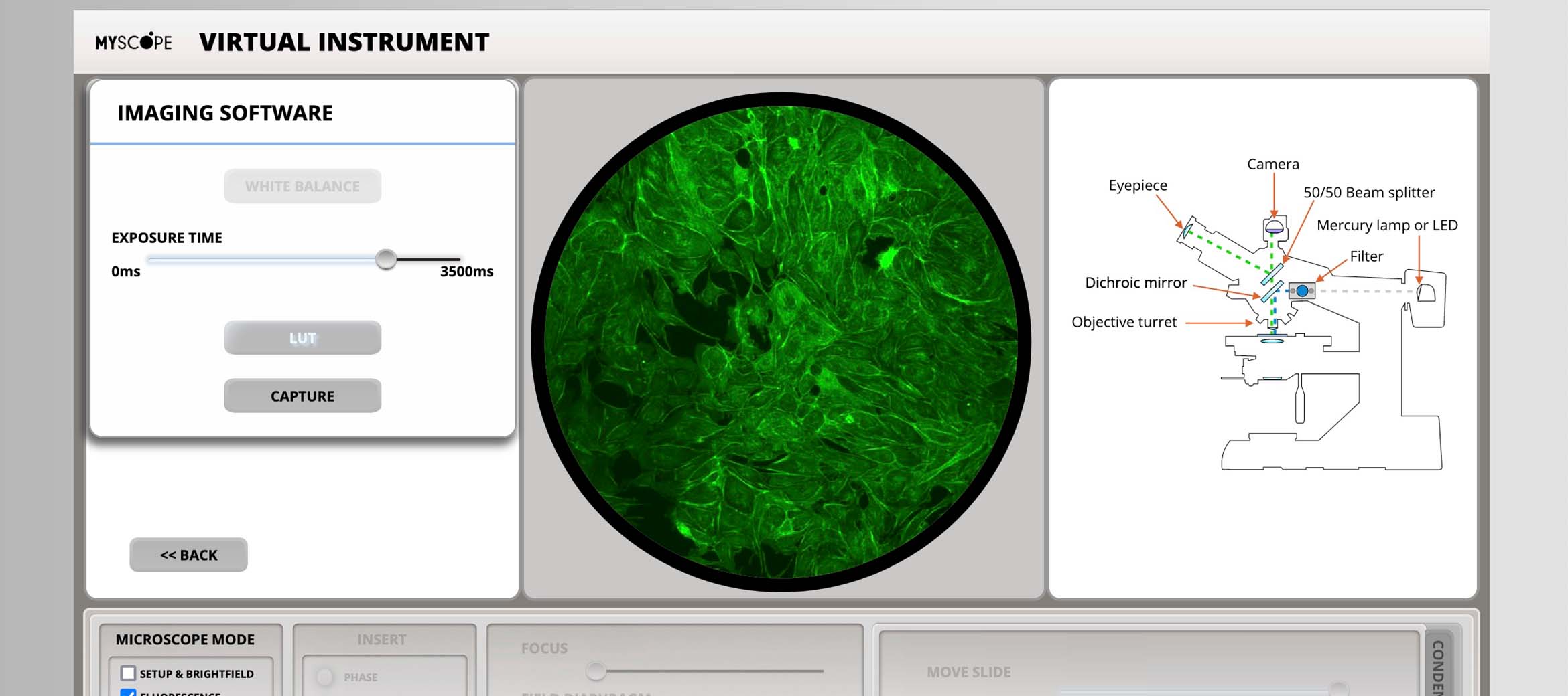 MyScope Simulator Launch: TEM, XRD & Light/Confocal - Microscopy Australia