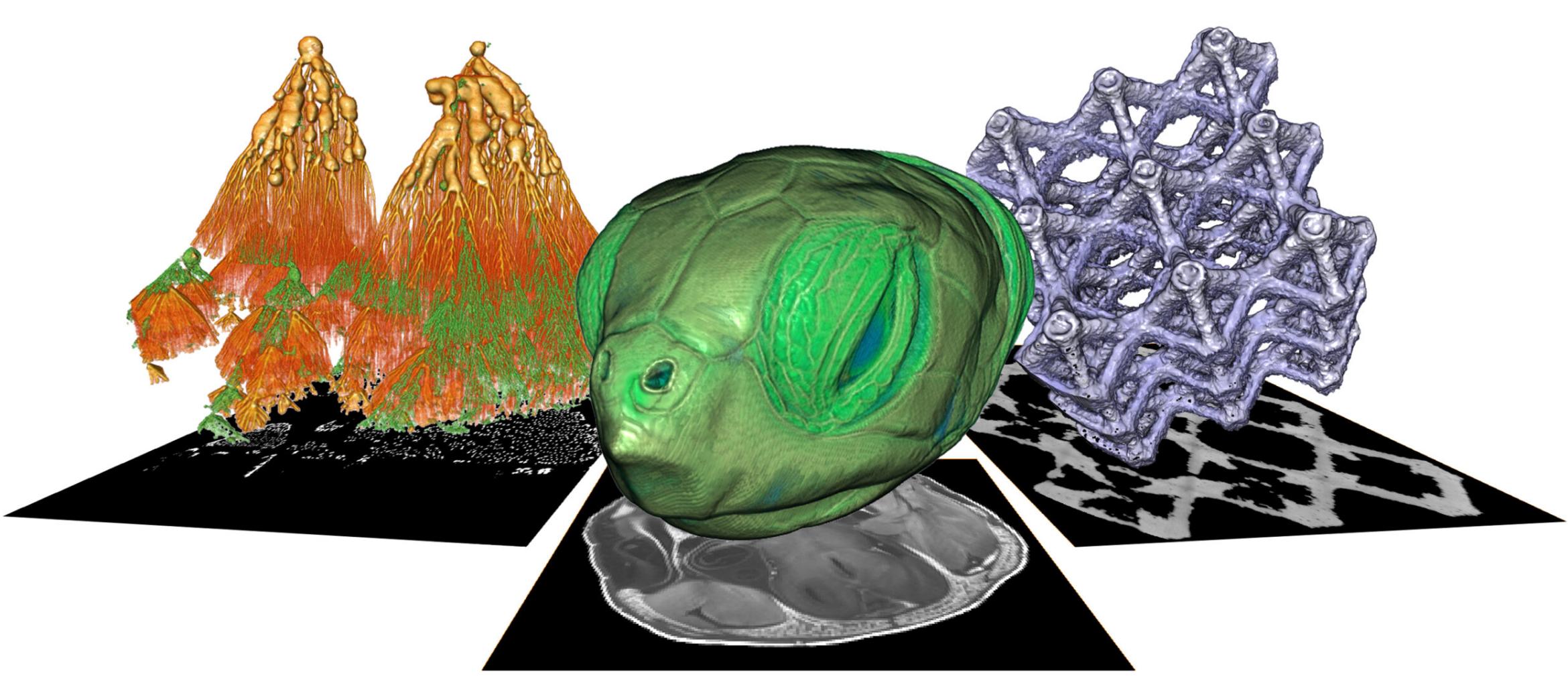 Build Your Own Workshop: Introduction to IMOD - Microscopy Australia