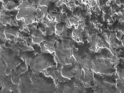 Microscopy Australia