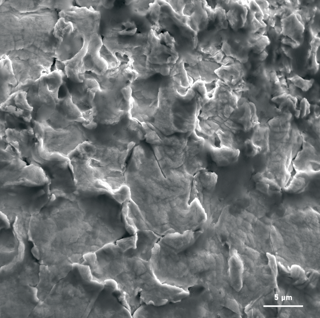 Carbon-neutral ammonia spin-out - Microscopy Australia
