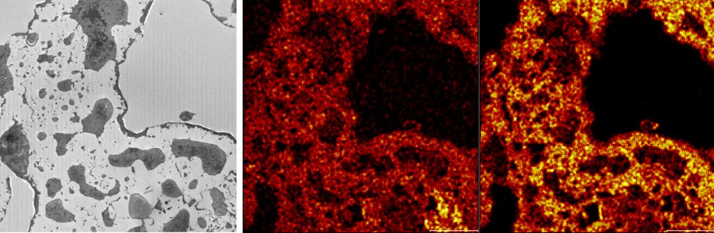 Fingerprints go micro - Microscopy Australia