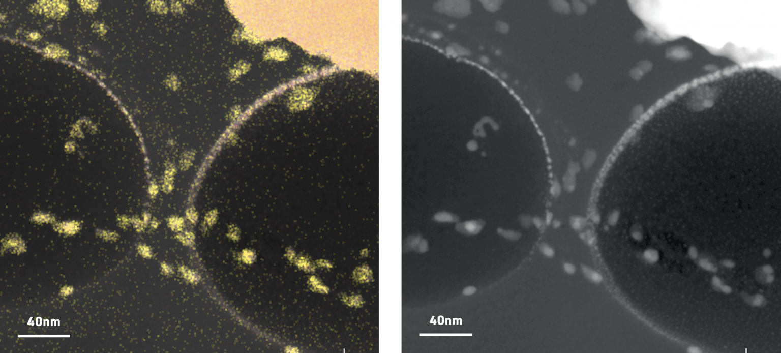 Nanoparticles reveal high-grade gold deposits - Microscopy Australia