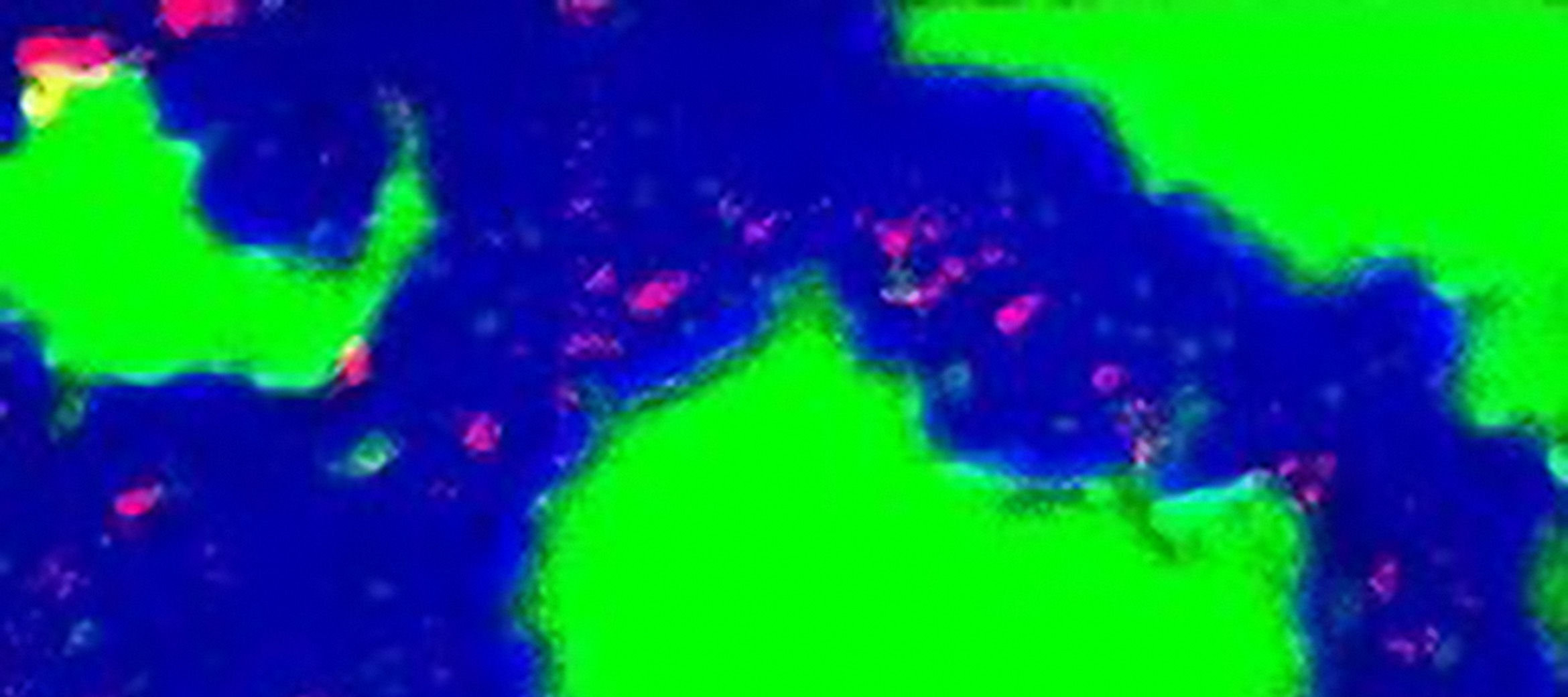 Ion probes support research into early life on Earth - Microscopy Australia
