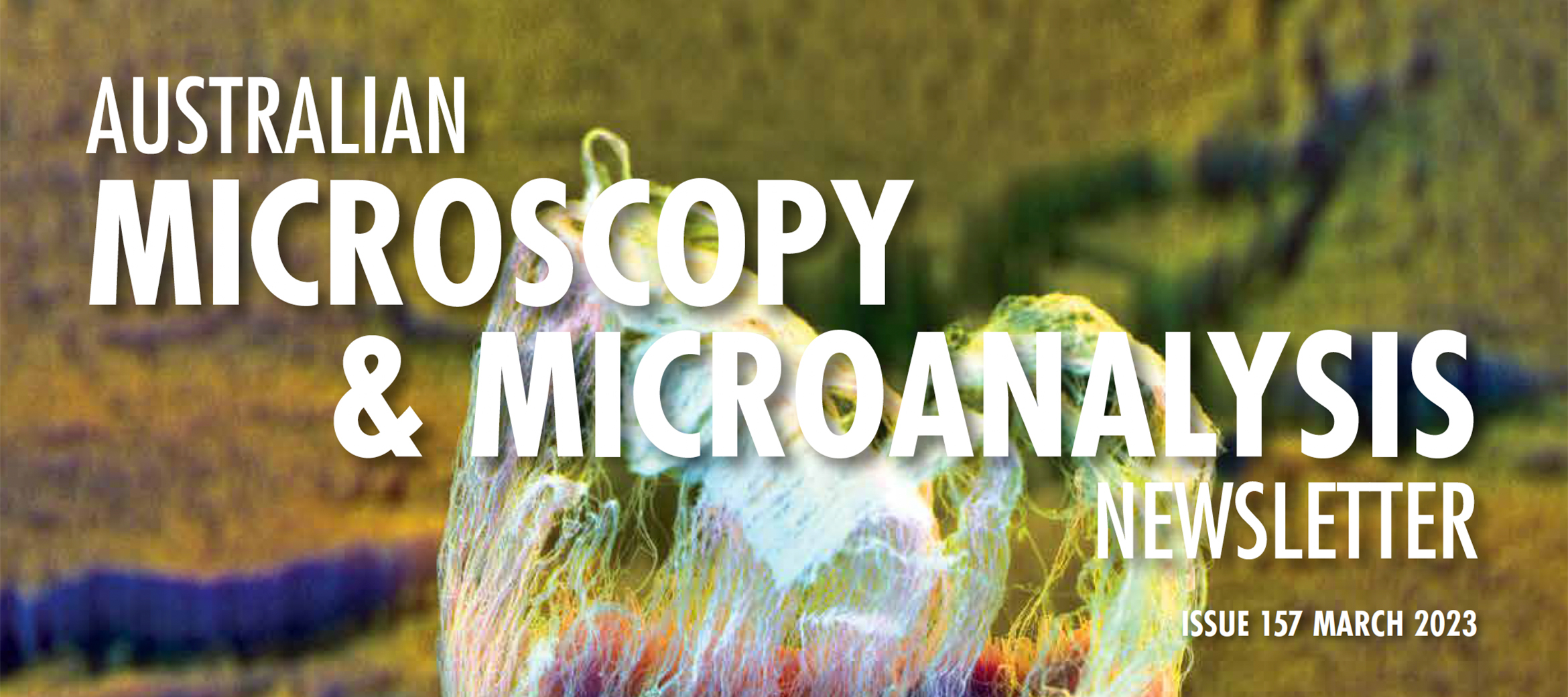 Microscopy Australia ACMM27 Image Competition - Microscopy Australia