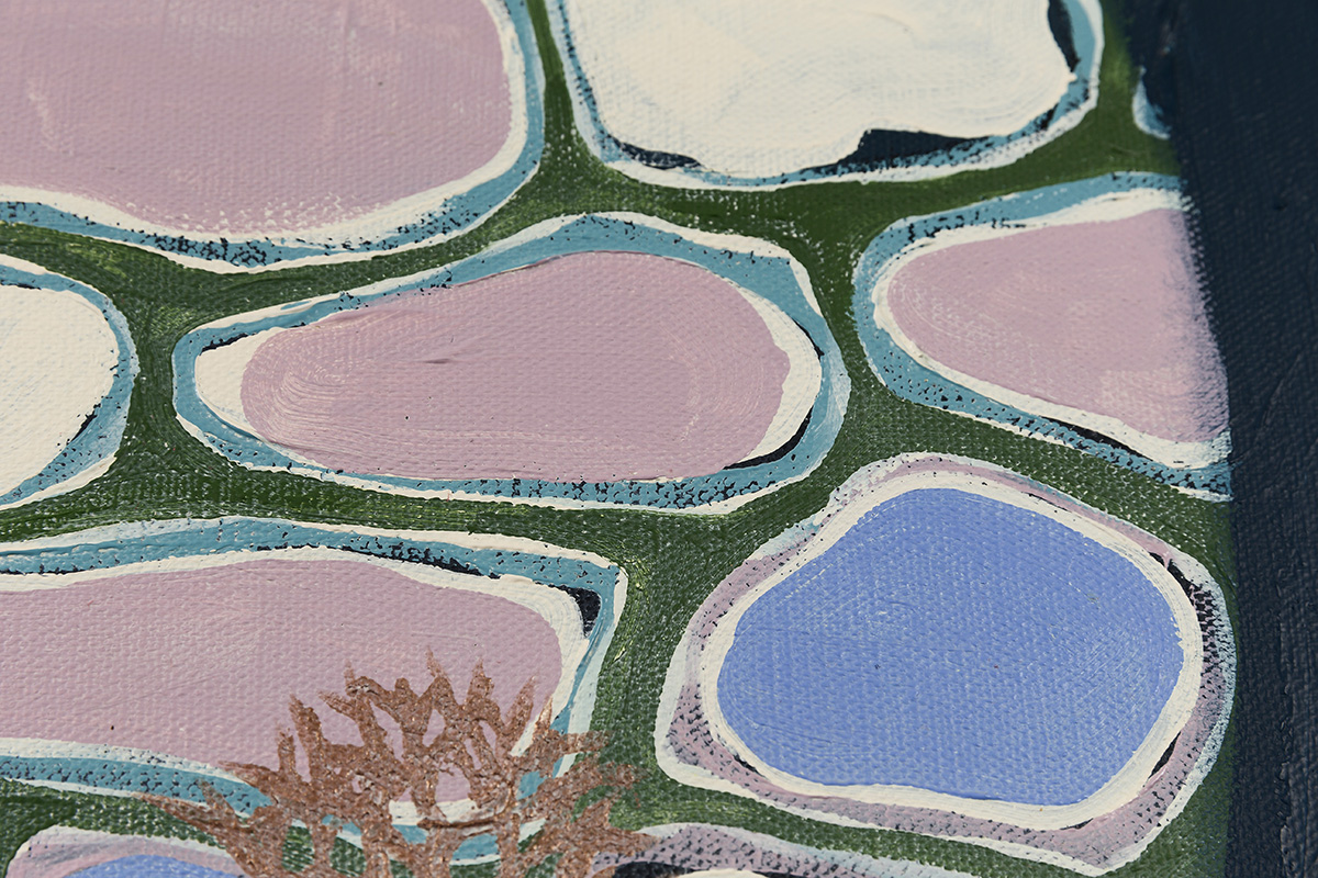 Fig Tree Leaves - Microscopy Australia