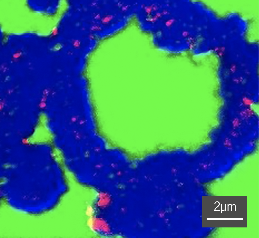 Ion probes support research into early life on Earth - Microscopy Australia
