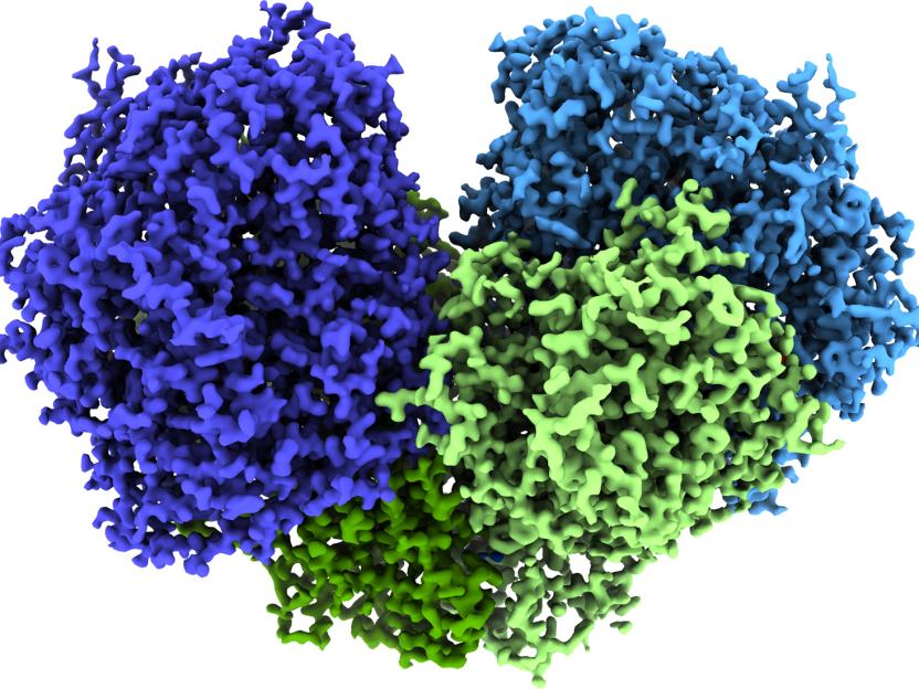 Microscopy Australia