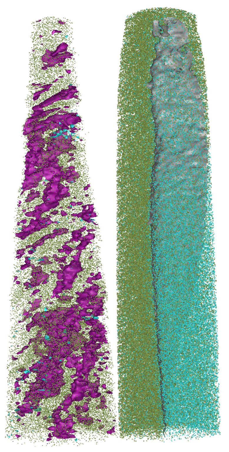 Atom probe tomography for better bone implants - Microscopy Australia