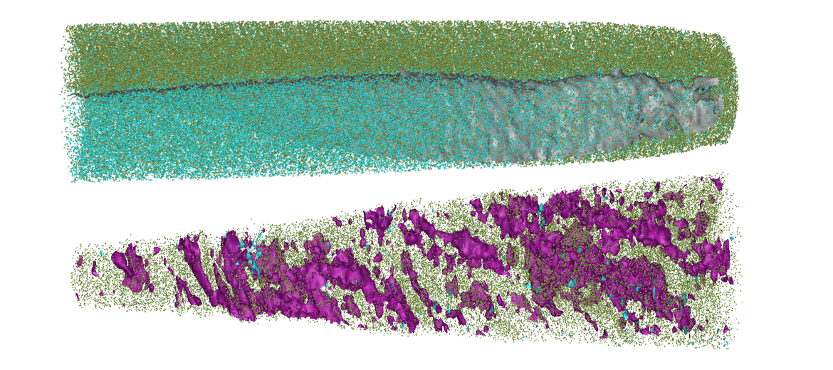 #ImagingTheFuture: the world-leading impact of the Australian imaging community - Microscopy ...