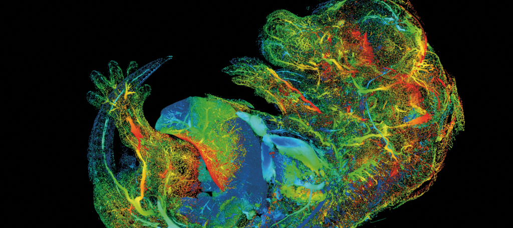 #ImagingTheFuture: the world-leading impact of the Australian imaging community - Microscopy ...