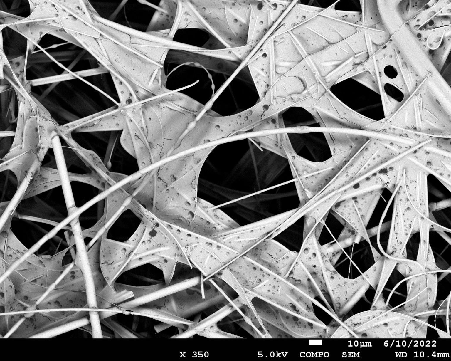 New lateral flow test for mosquito-borne flaviviruses - Microscopy ...
