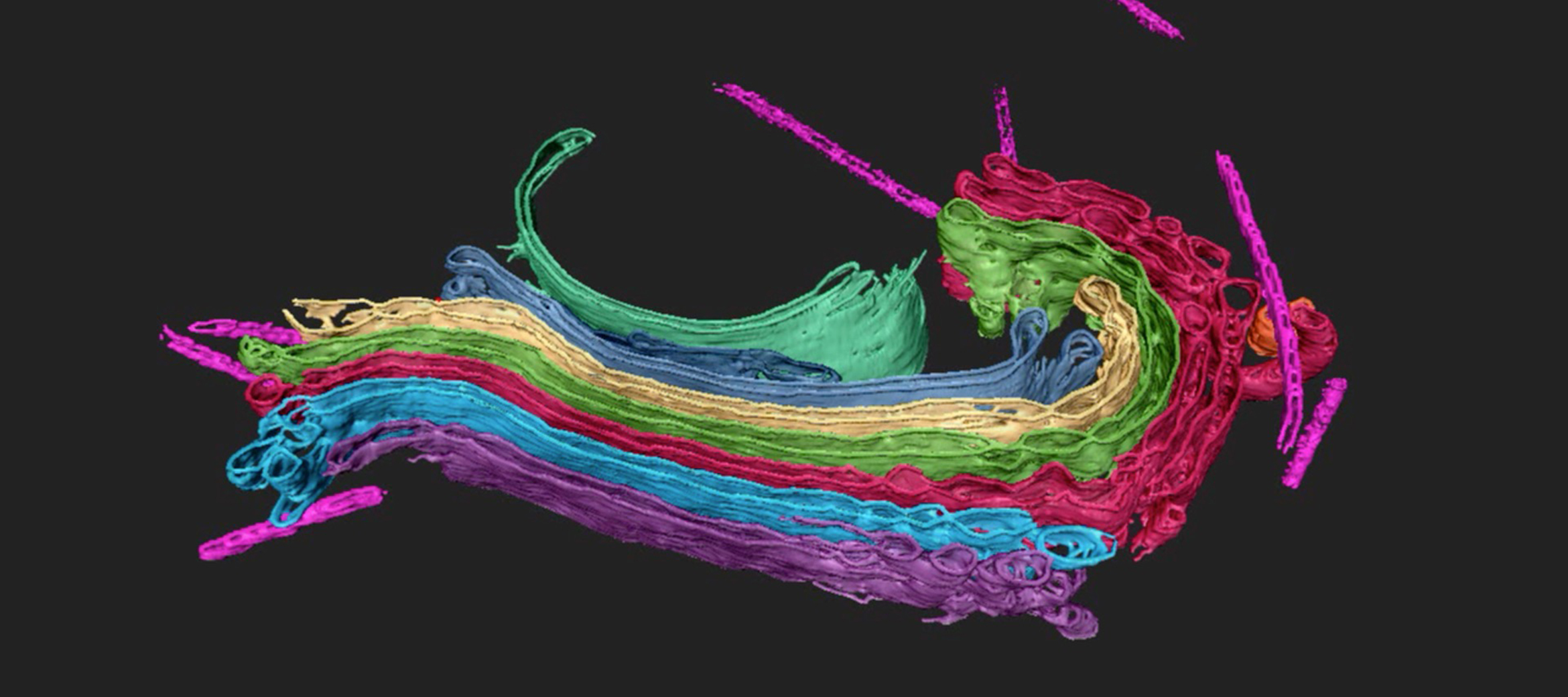 Advancing Biomedical Research in Australia: Unveiling the Titan Krios ...